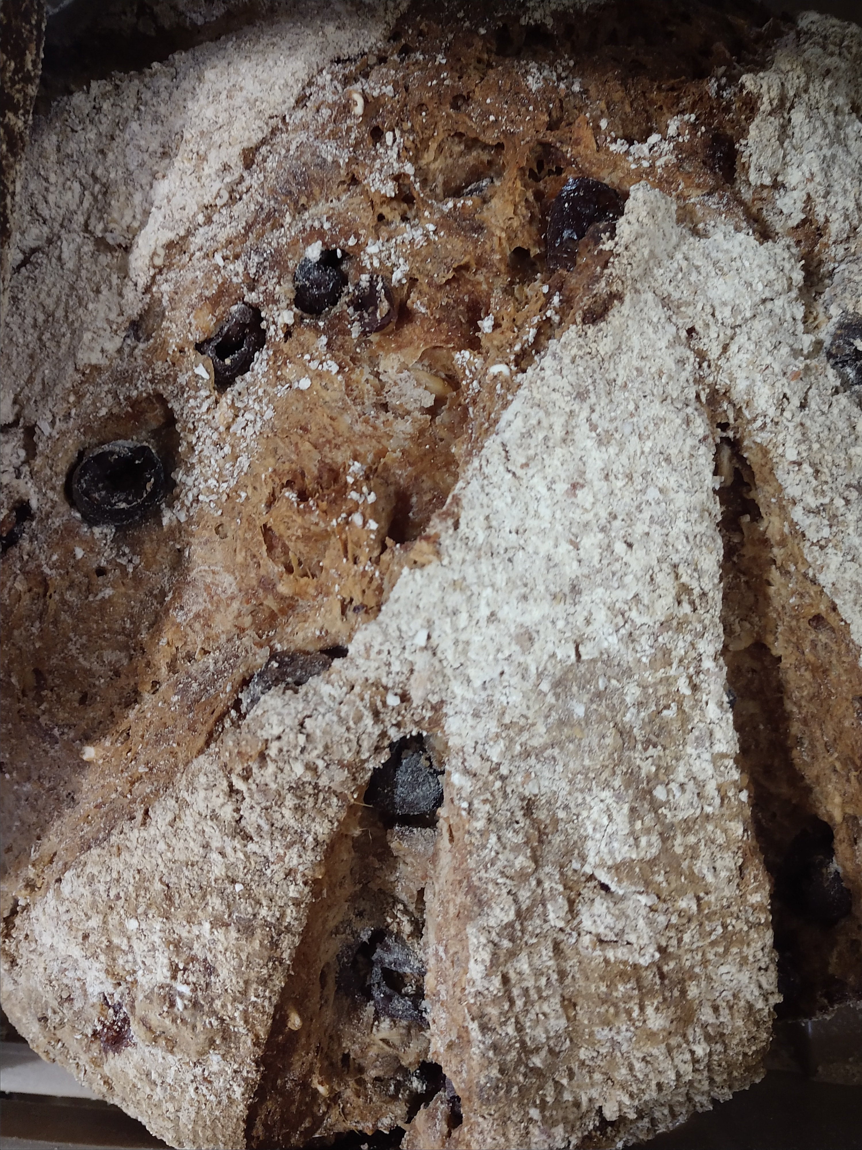 Medieval Rye Levain with Kalamata Olives, sold by the quarter loaf ...