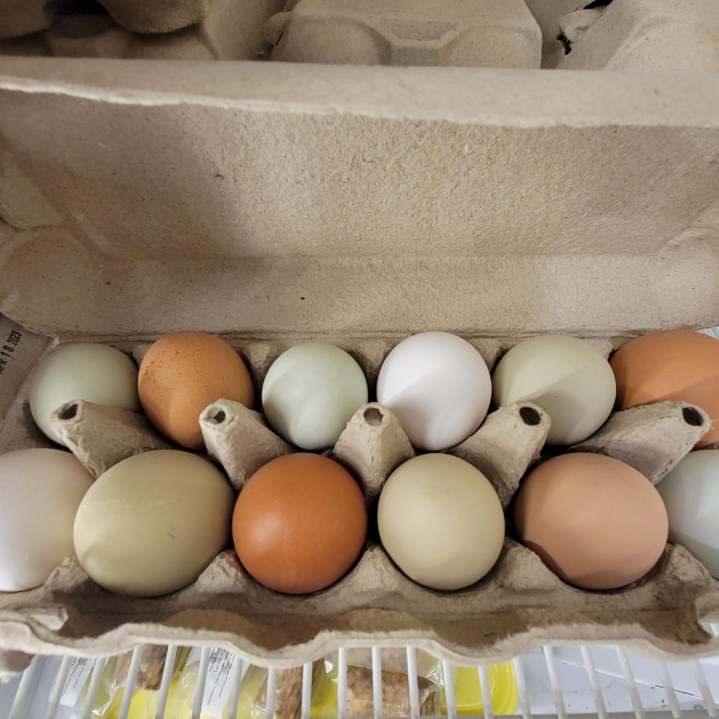 Organic Pastured Eggs from North Slope Farm | Bobolink Dairy & Bakehouse Organic Pastured Eggs from North Slope Farm | Bobolink Dairy & Bakehouse