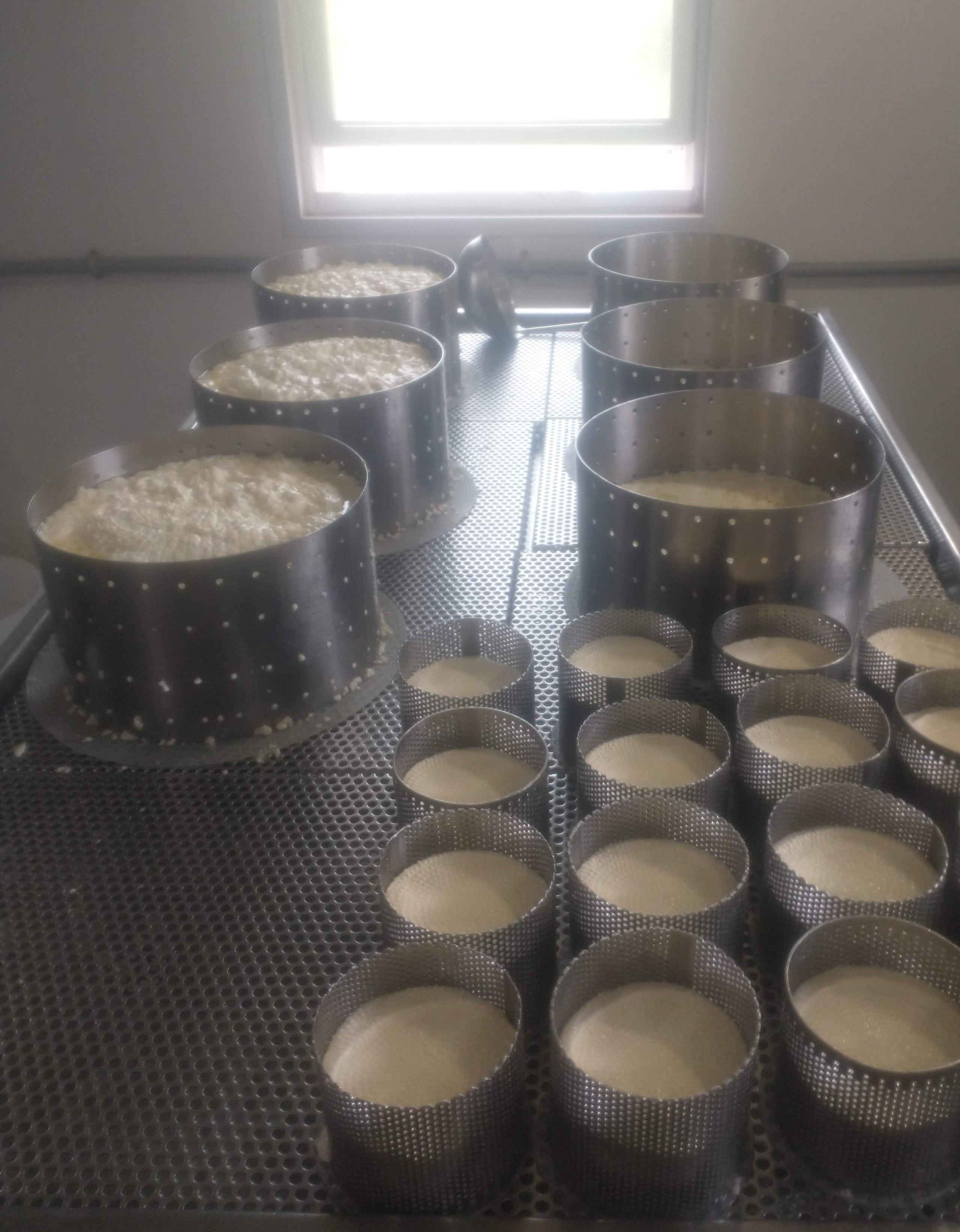 Cheese Making Class, Sunday June 25, 2023, 8am-1pm | Bobolink Dairy ...