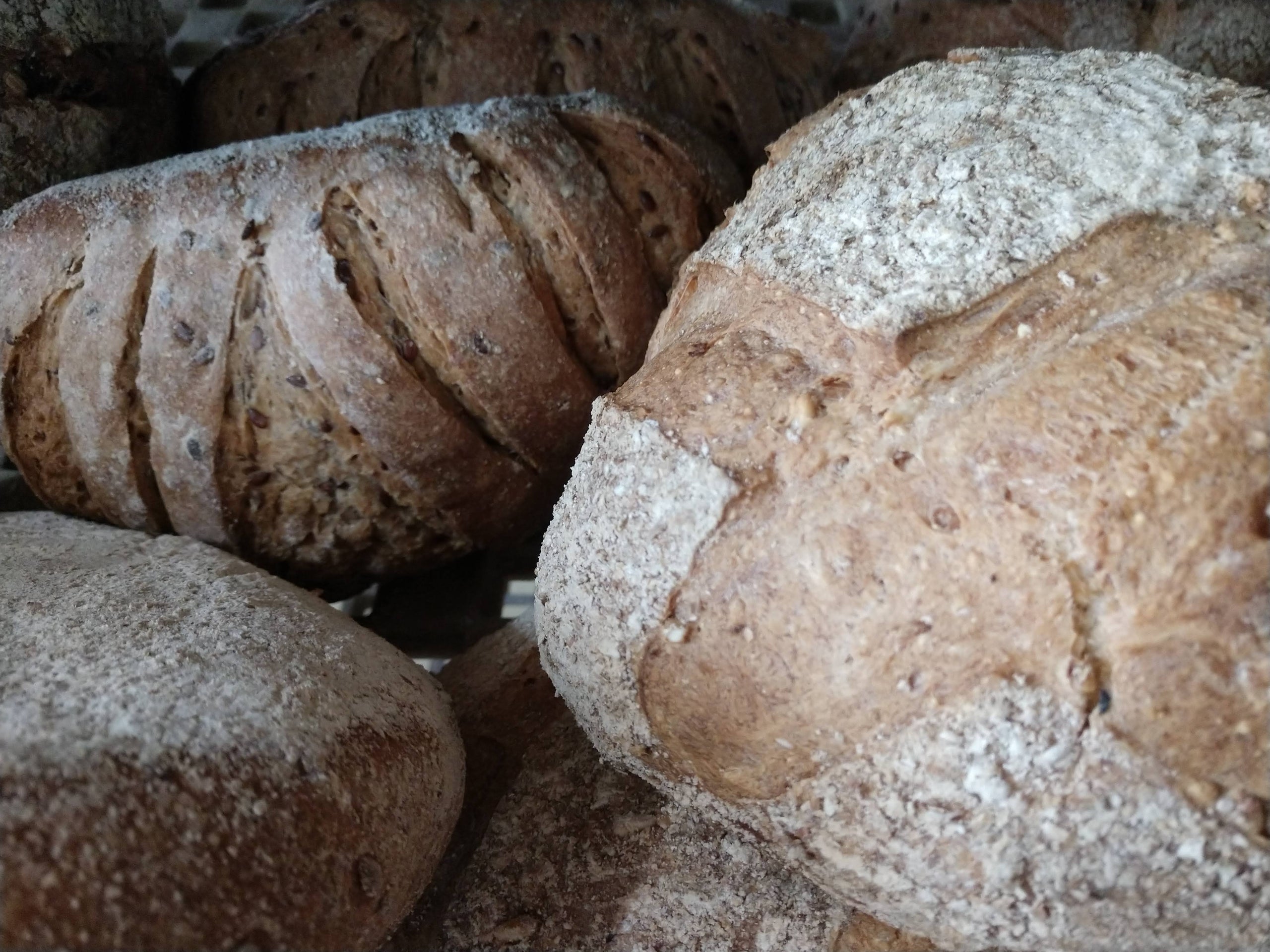 Bounty Box for 3-day Transit | Bobolink Dairy & Bakehouse